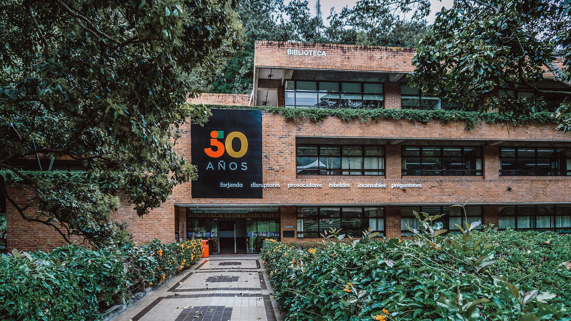 Didy Fernanda García - CPA